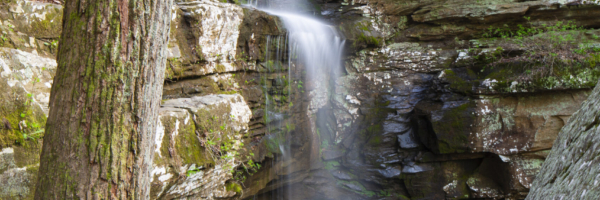 Treehouse Log Cabin Rentals in Shawnee Forest