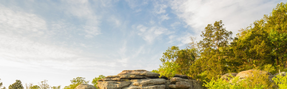 Treehouse Log Cabin Rentals in Shawnee Forest